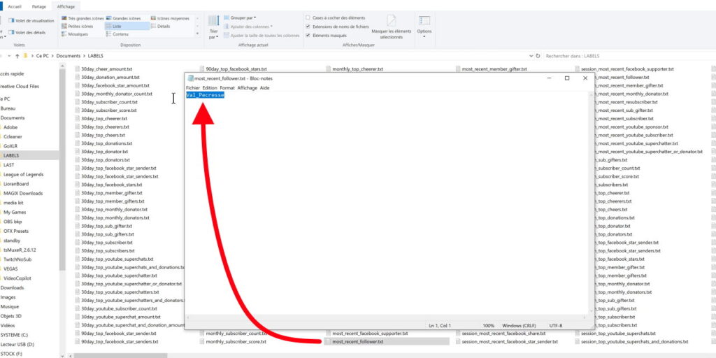Comment Afficher le Dernier Follower / Sub sur son Stream